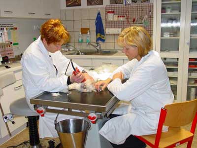 Tierarzt in Ahaus - Dr. Malte Appelius - Kleintierpraxis