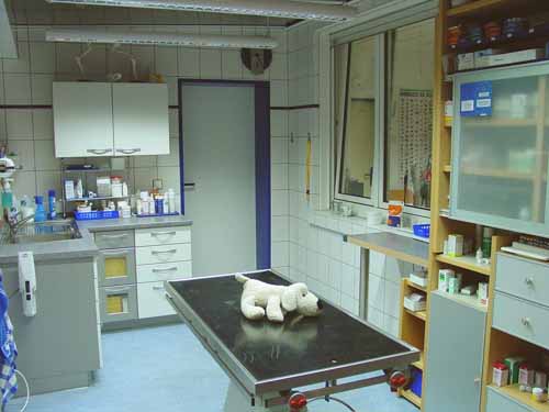 Tierarzt in Ahaus - Dr. Malte Appelius - Kleintierpraxis