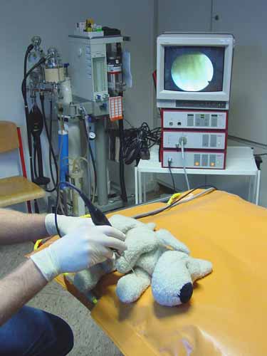 Tierarzt in Ahaus - Dr. Malte Appelius - Kleintierpraxis