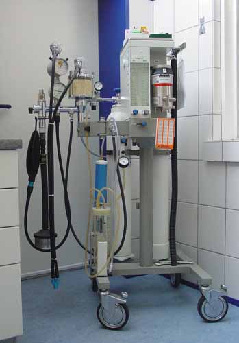 Tierarzt in Ahaus - Dr. Malte Appelius - Kleintierpraxis