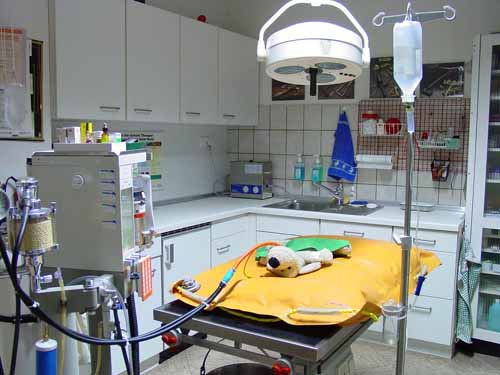 Tierarzt in Ahaus - Dr. Malte Appelius - Kleintierpraxis