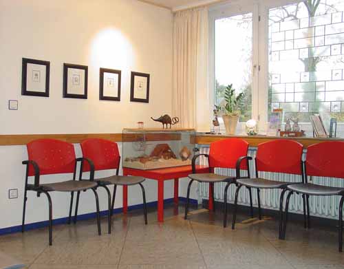 Tierarzt in Ahaus - Dr. Malte Appelius - Kleintierpraxis